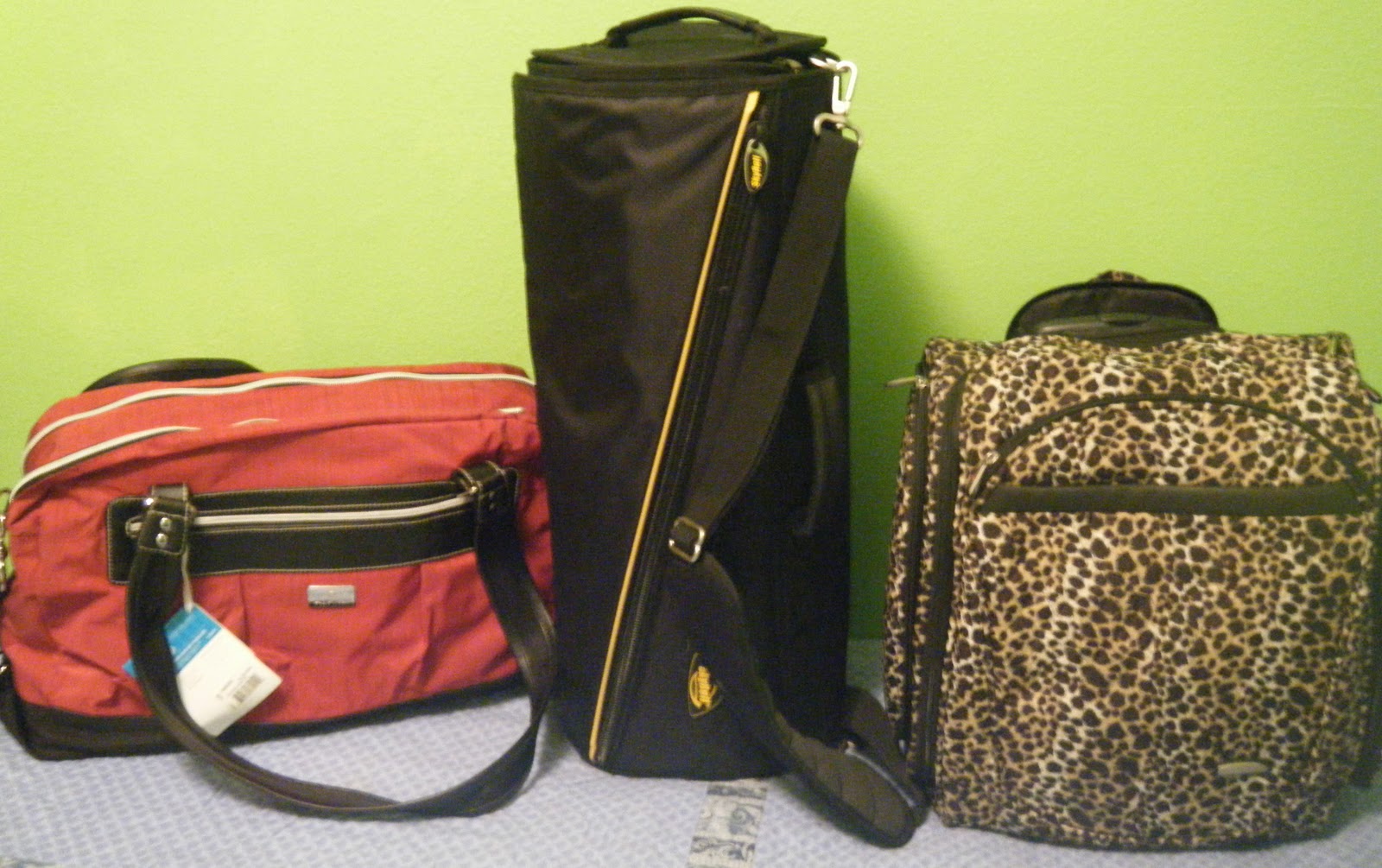 Review: Skyroll Garment Bag - Shereen Travels Cheap