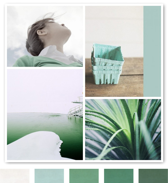 design minded: Choosing a Color Palette