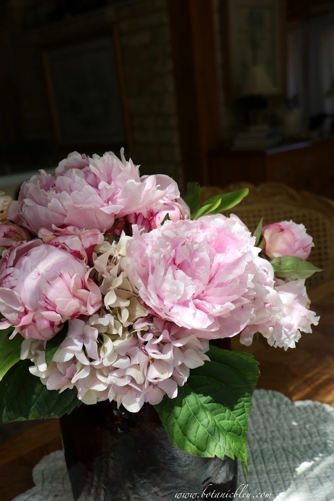 Botanic Bleu: Under the Peony Spell