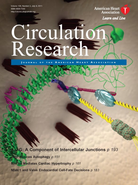 Circulation Research - Mathew Schwartz