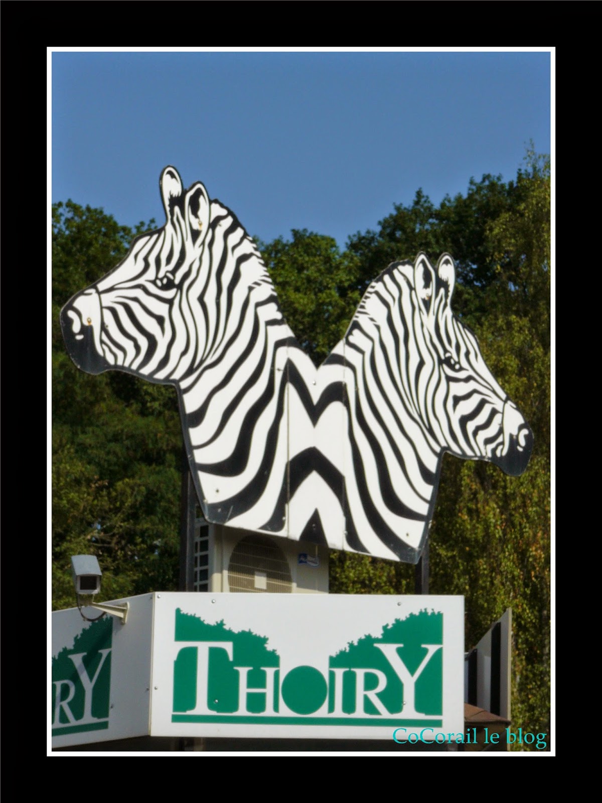 CoCorail Le blog: Parc zoologique de Thoiry