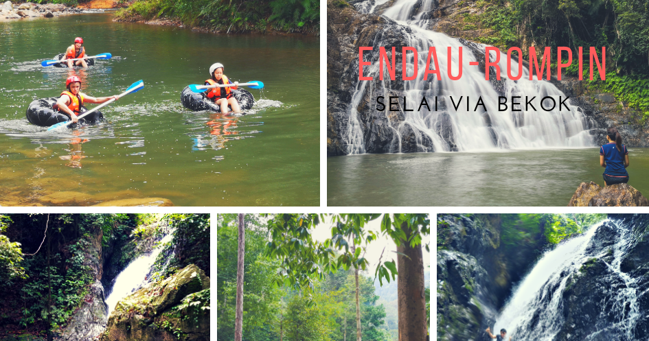 2D1N Endau-Rompin National Park via Selai : Waterfalls Paradise ...