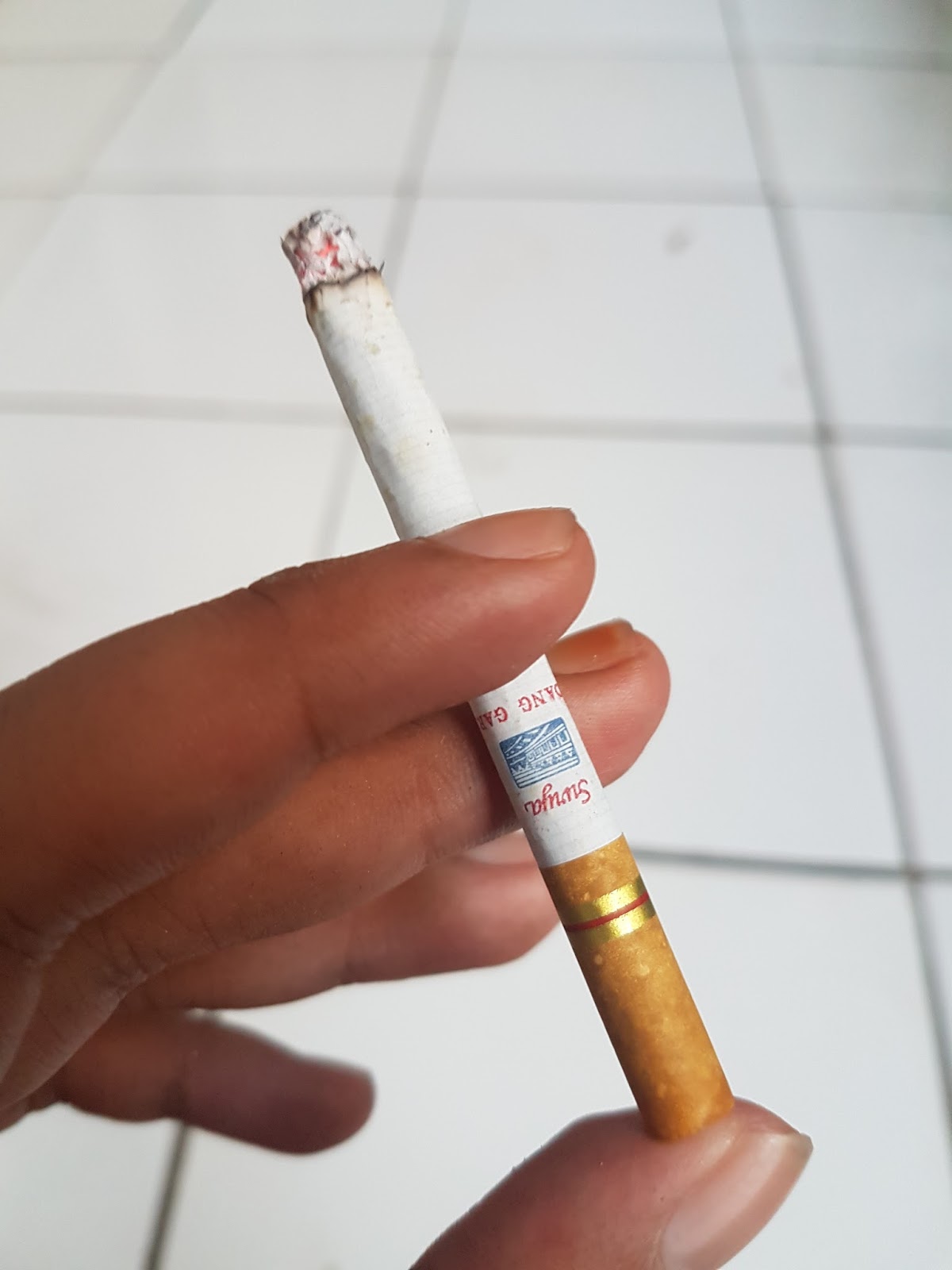 Surya PROfessional Merah, SKM Full Flavor dengan Ukuran Batang Slim ...