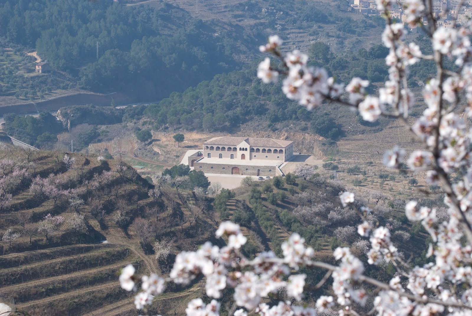 12 drinks and ...: Mas Alta - Els Pics Priorat