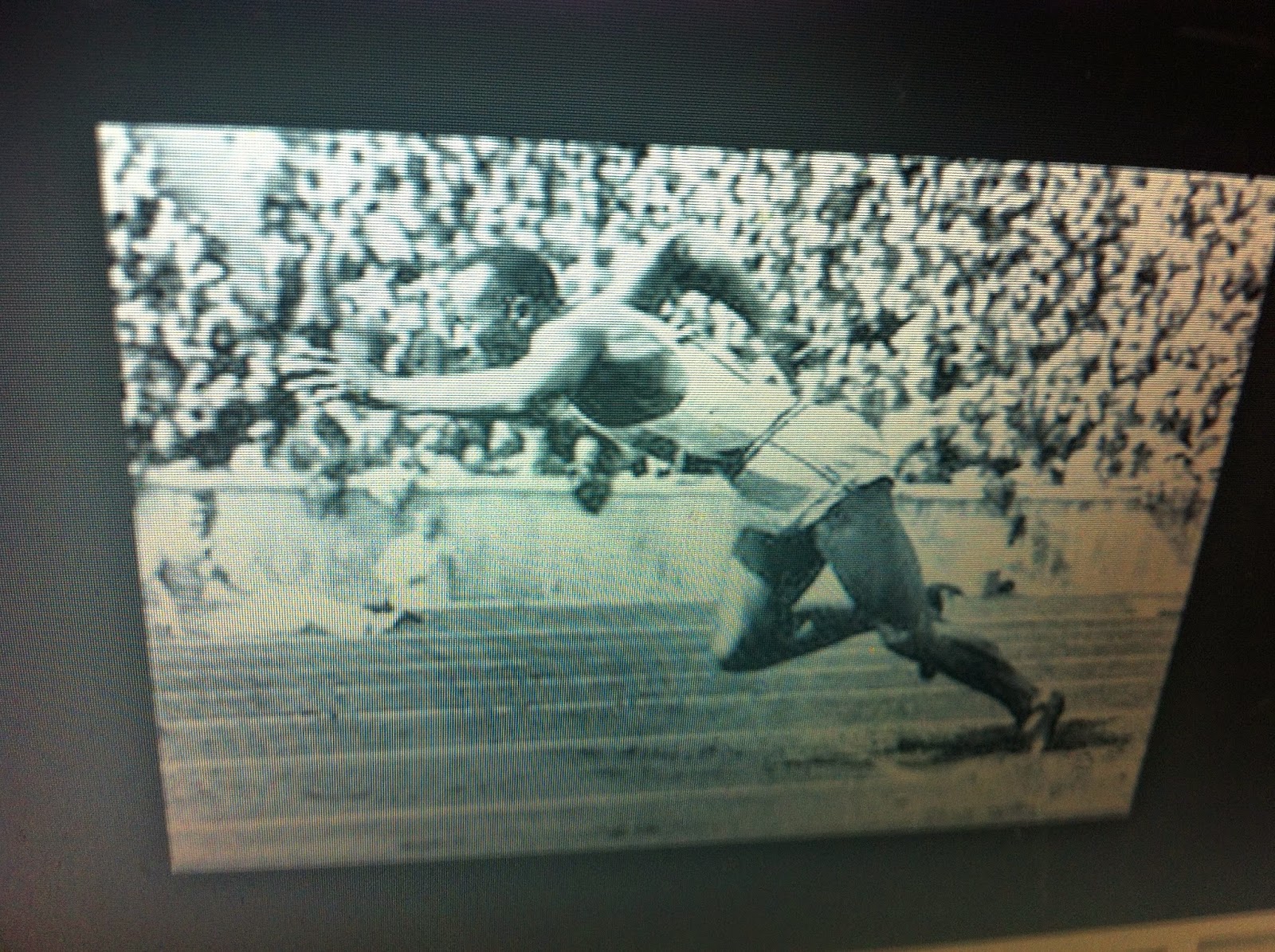 THE BLACK SOCIAL HISTORY:: BLACK SOCIAL HISTORY : AFRICAN AMERICAN ...