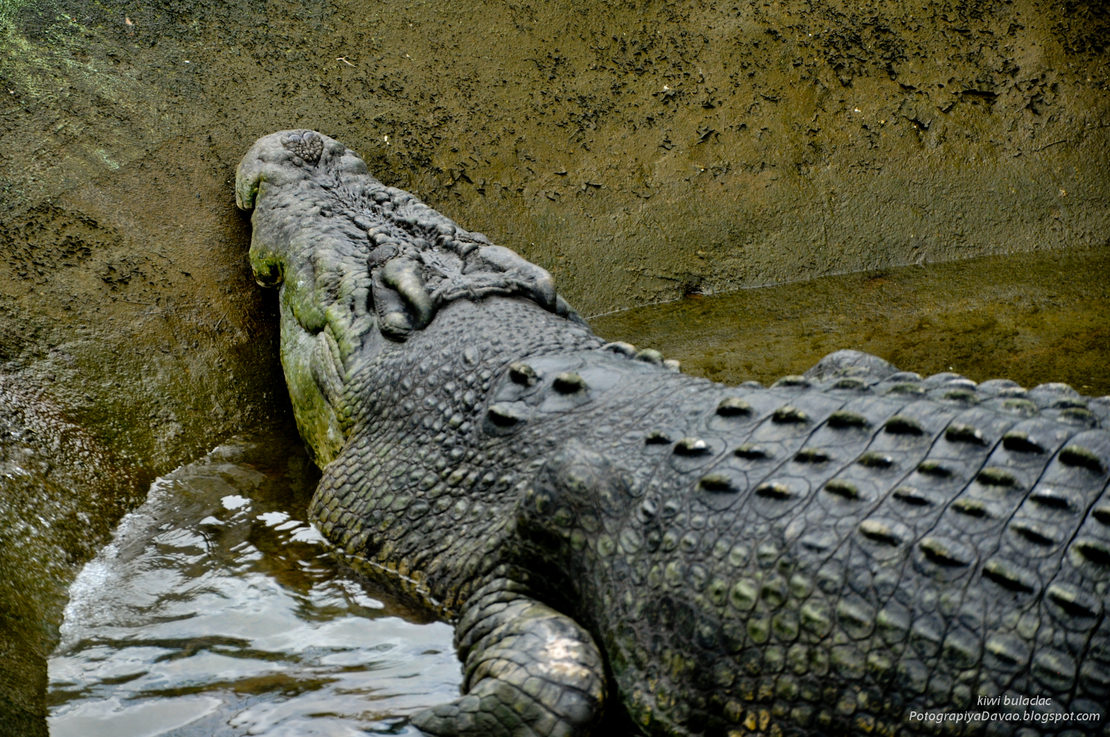 Davao Pictures | Davao Photos - POTOGRAPIYA DABAW