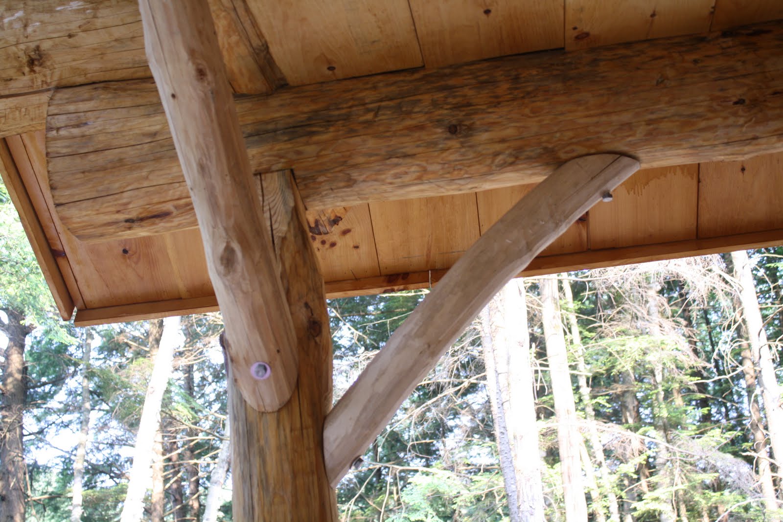 Rebuilding Titcomb Cabin