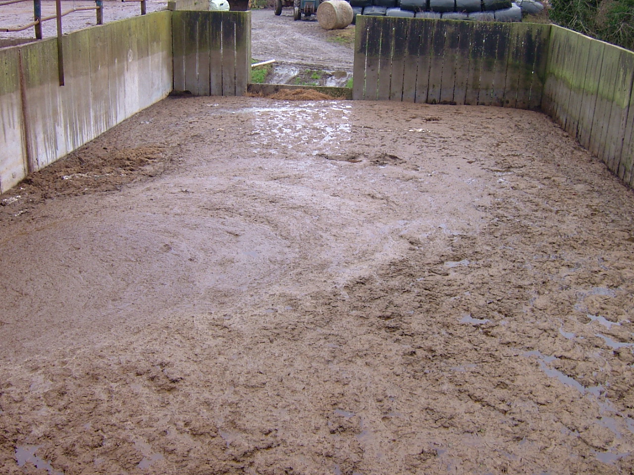 Magenta Direct: Udder Comfort, Slurry Inoculant and More!