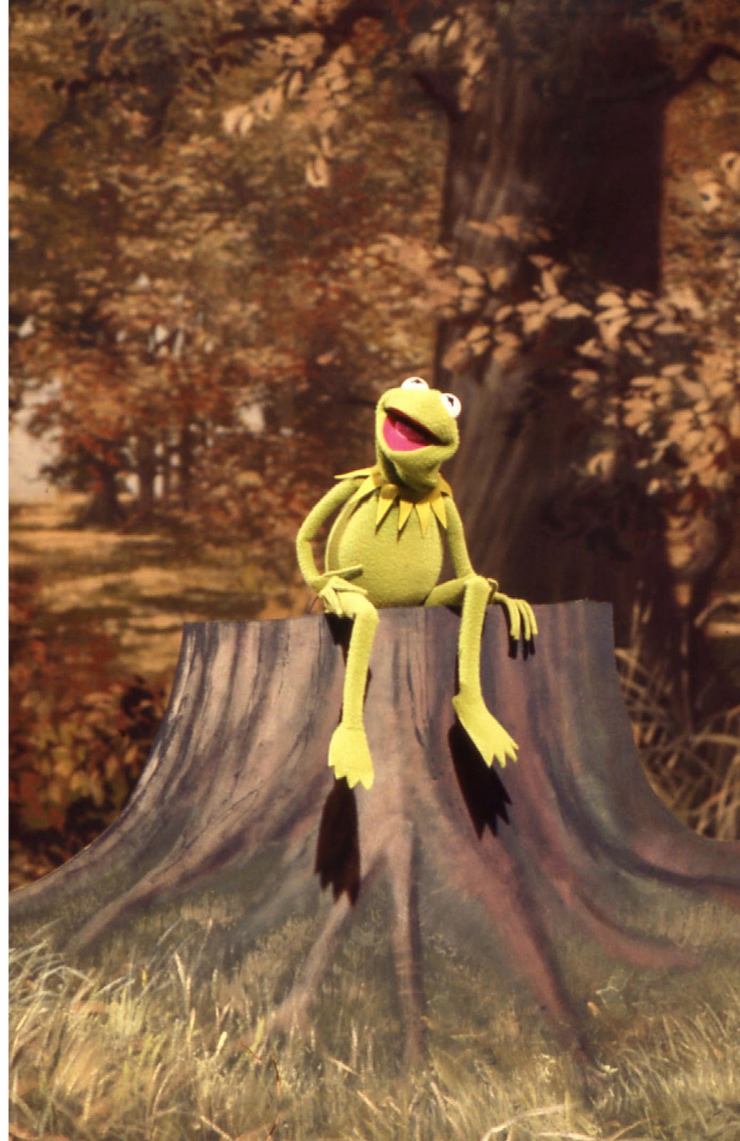 The Muppet Mindset by Ryan Dosier, muppetmindset@gmail.com