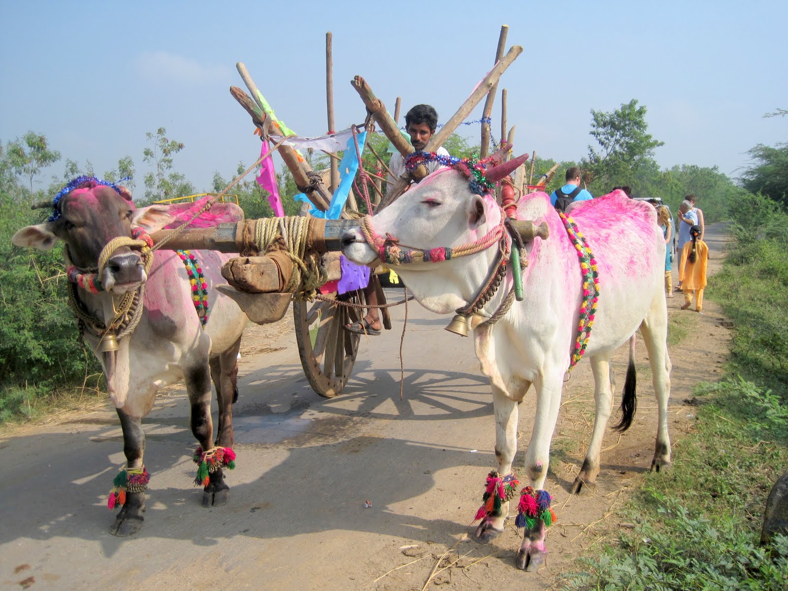 India Mission Trip 2012: Riding on a Bull Cart!