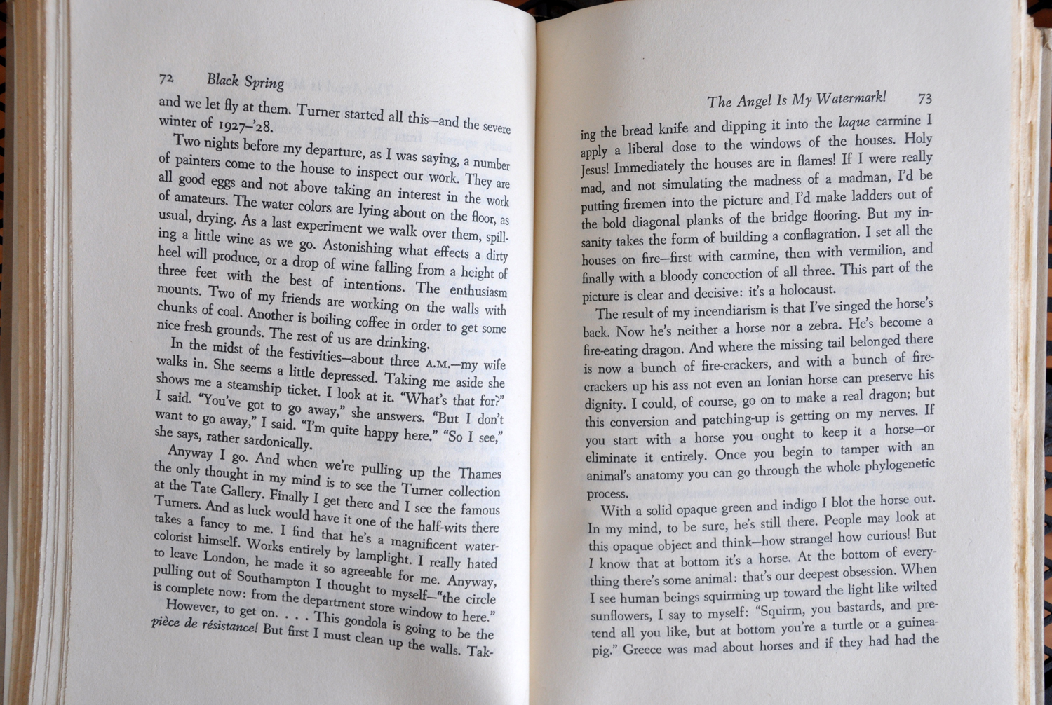 Structure and Imagery: Black Spring: The Angel Is My Watermark! by ...