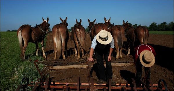 Extraordinary Stories From An Ordinary Guy: The "Trouble In Amish Land ...