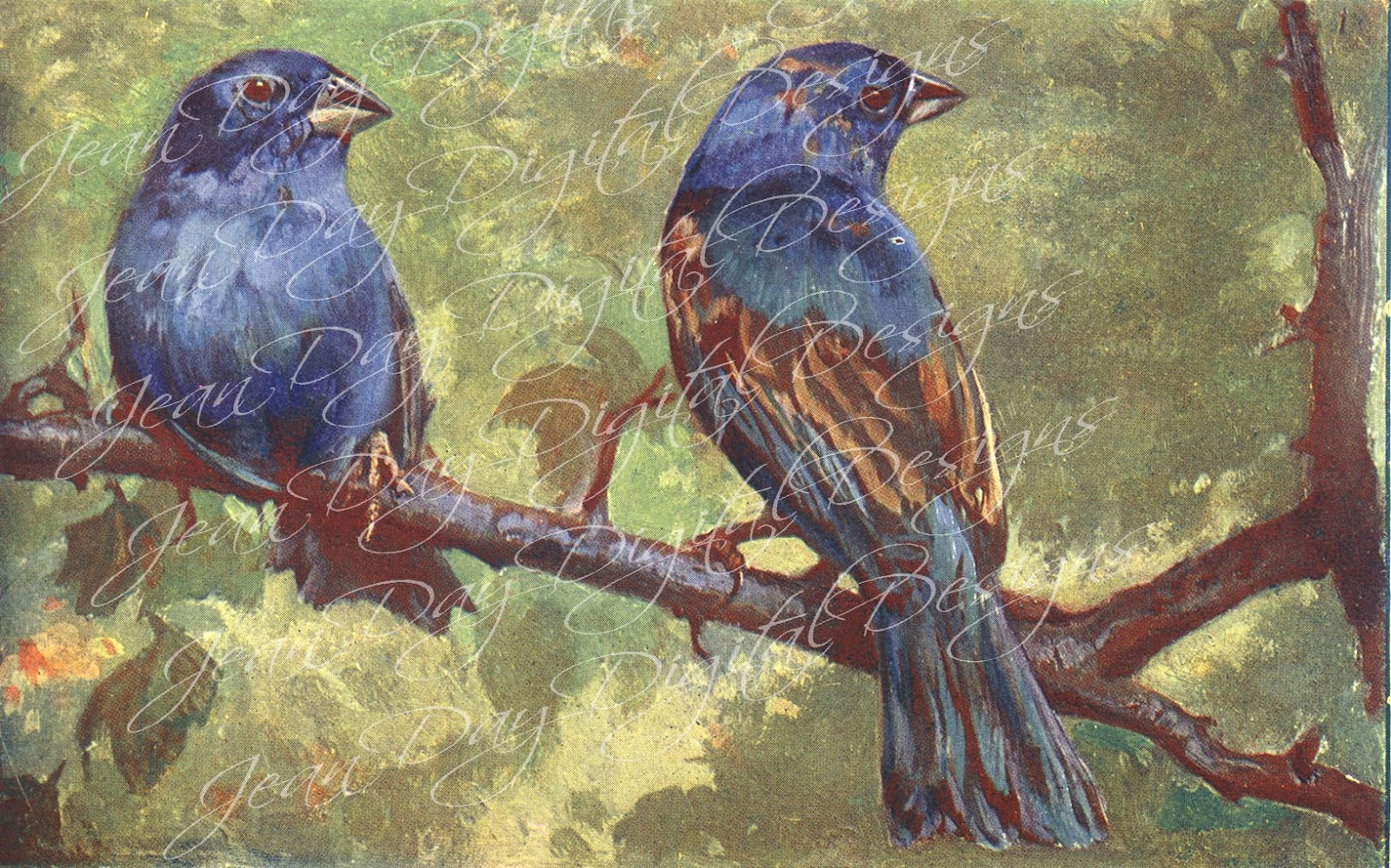 J Day Digital Designs, French Fancies, Vintage Finds: More Bird and ...