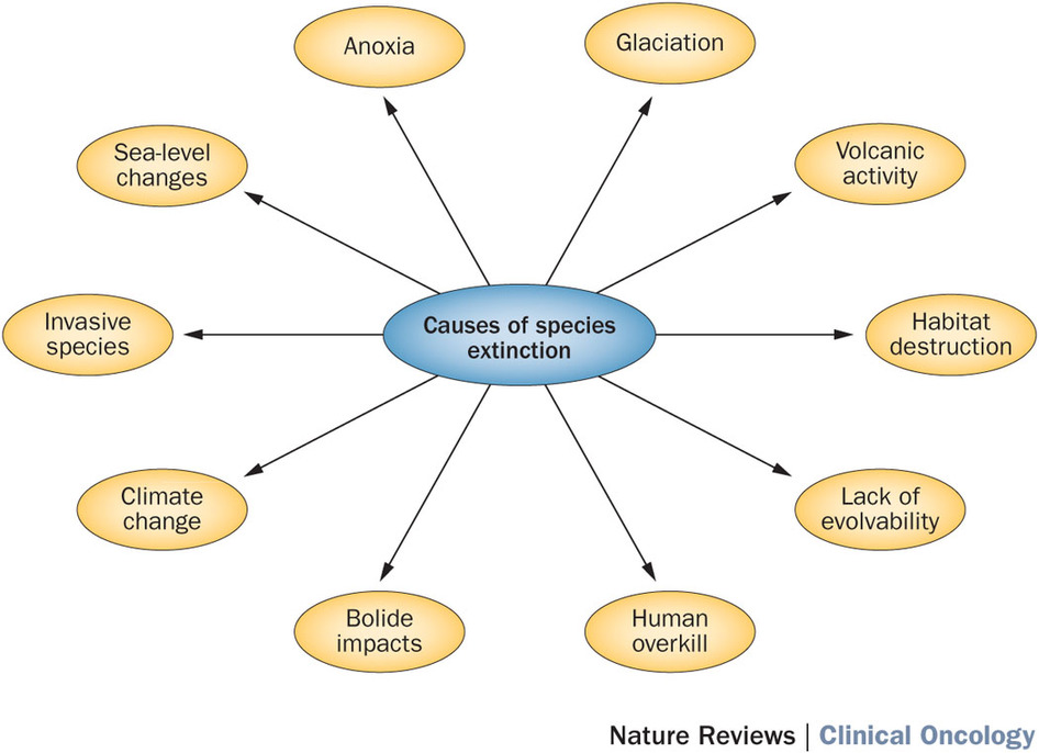 Lesson 2 unit 3 :Extinction - العلوم
