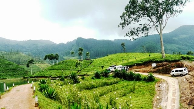 Travel Destination in Sri Lanka, Sembuwatta Lake, Elkaduwa Estate ...