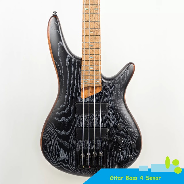 Jenis-Jenis Gitar Bass Berdasarkan Senarnya - Siddix