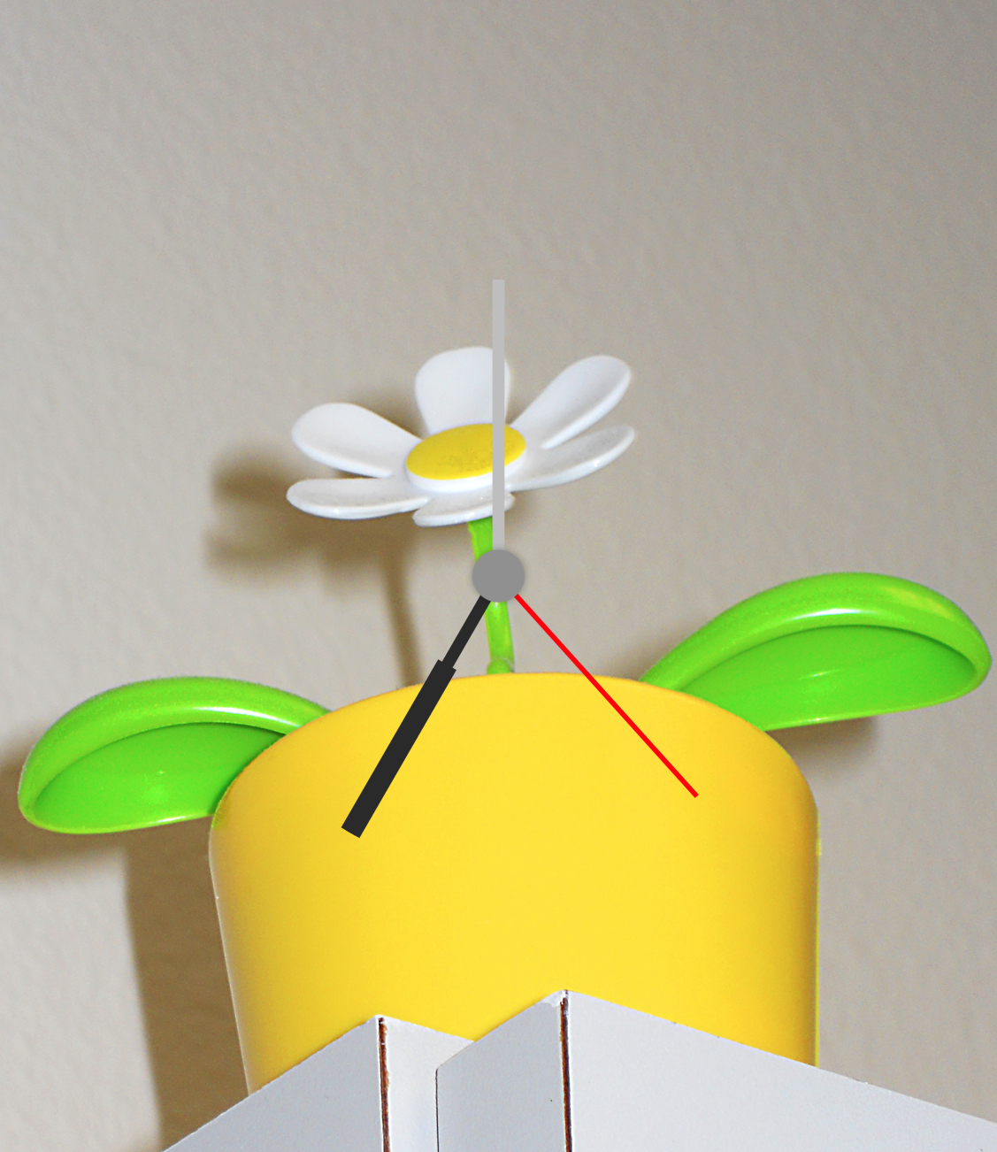 Ocala, Central Florida & Beyond: Flower clock