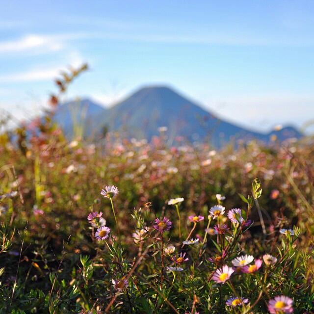Pesona Cahaya Gunung Prau Dieng 2.565 mdpl | inspirasi