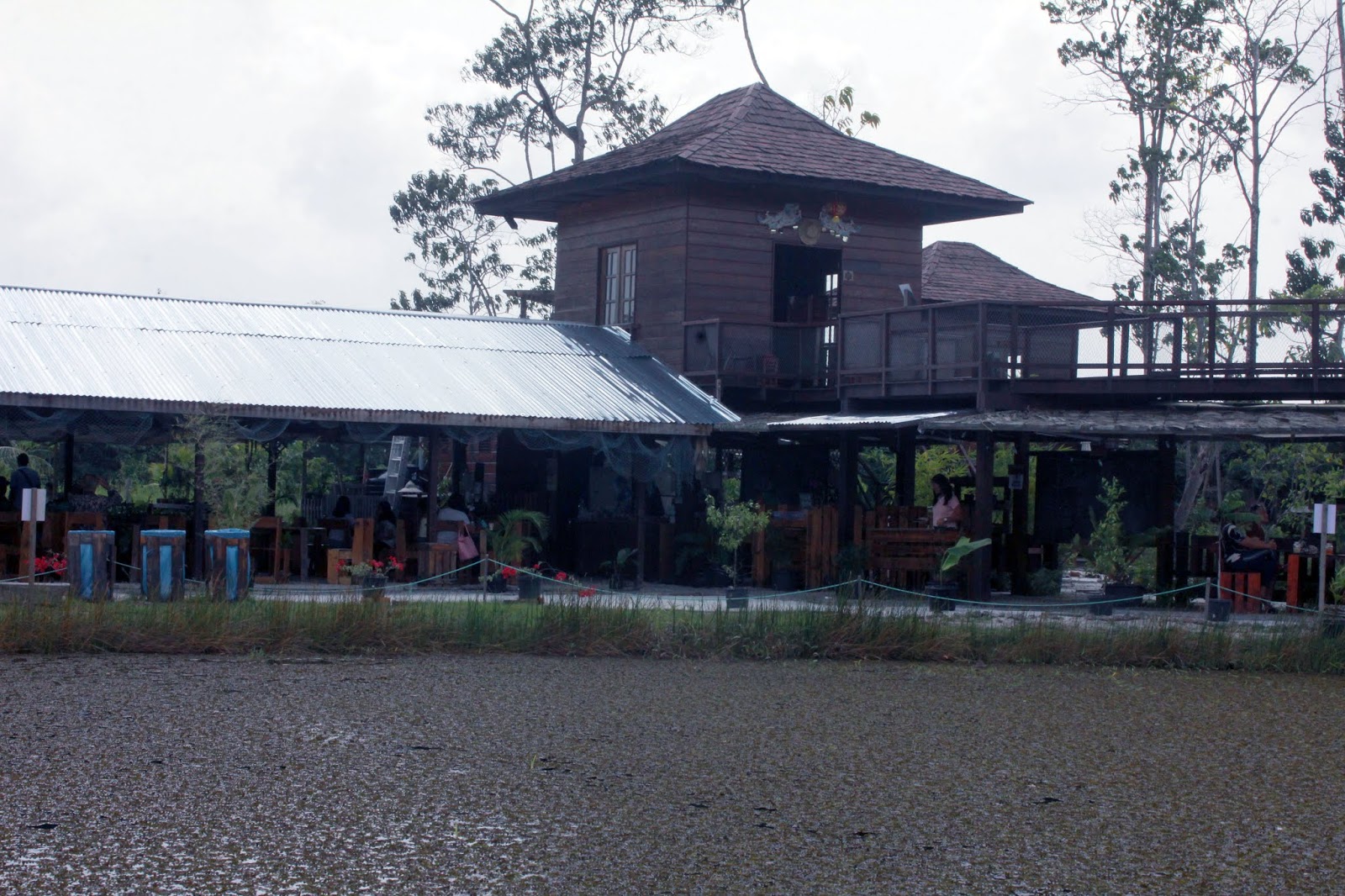 Through the Lens of Judith Redmount: My Trip To the Clevia Park ...