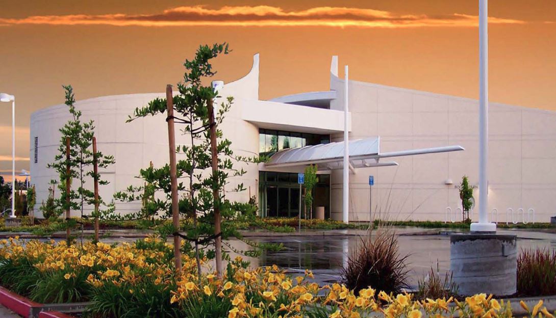 Citizens for Sunnyvale Parks & Green Spaces: David and Goliath Libraries