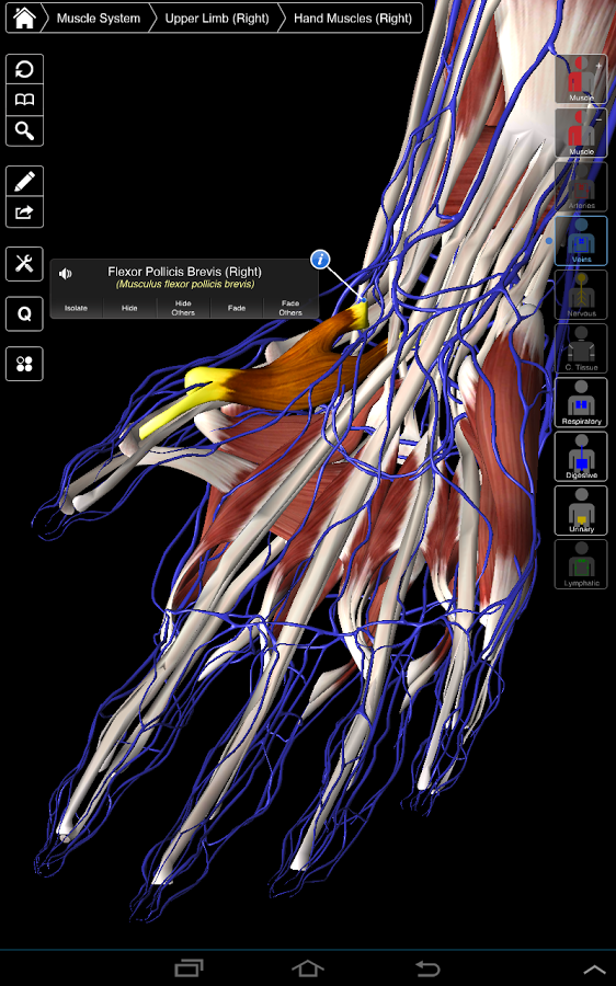 Essential anatomy 3 free - dikileaf