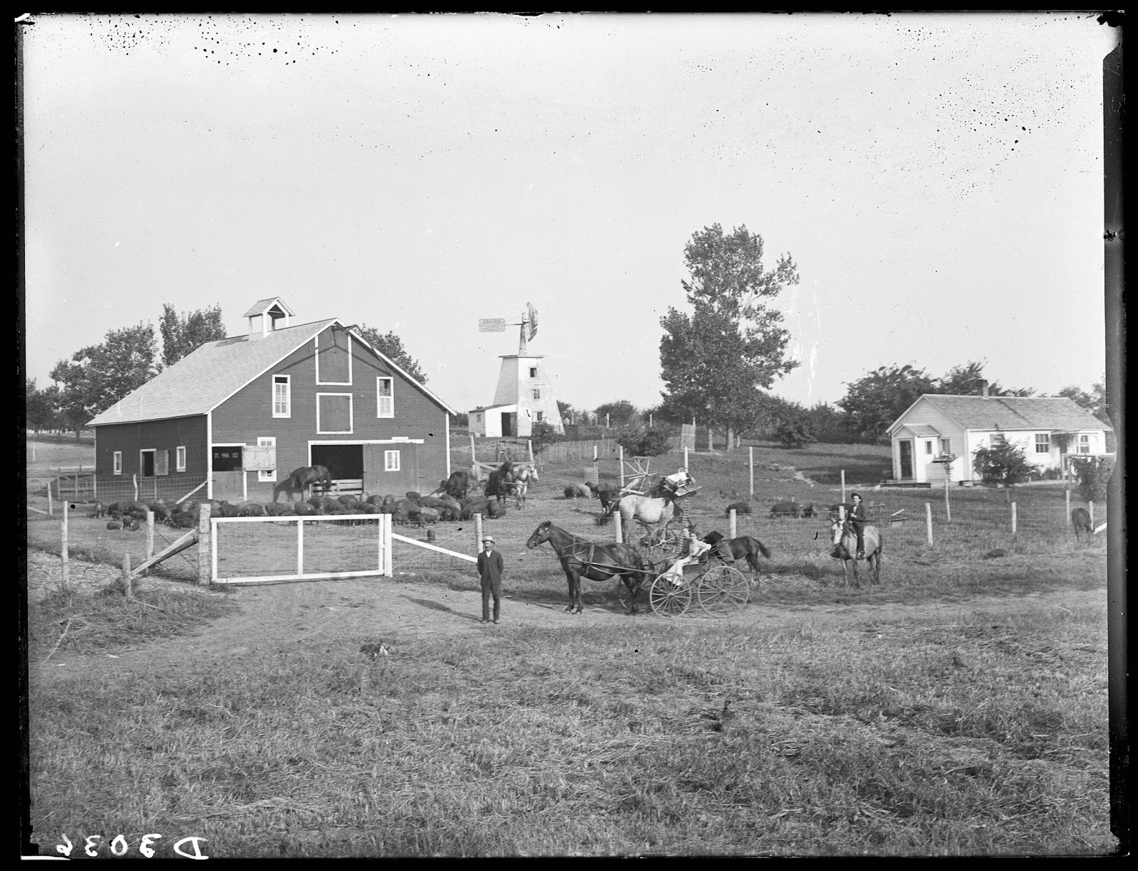 1903 Buffalo County Farm Nebraska | Big Picture Agriculture
