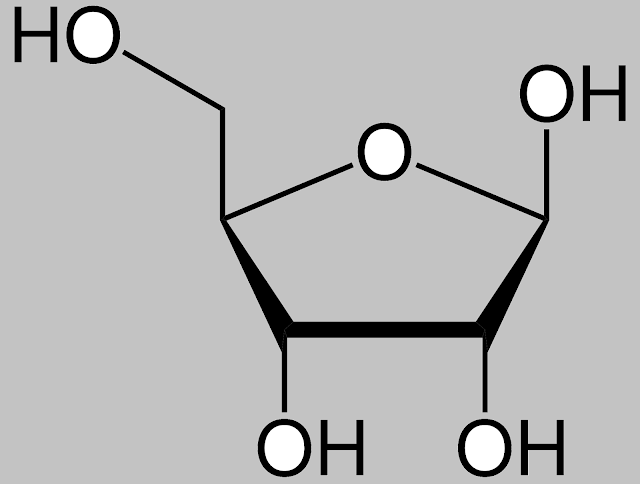 MONOSAKARIDA DAN PENENTUAN STEREOKIMIA | A chemist