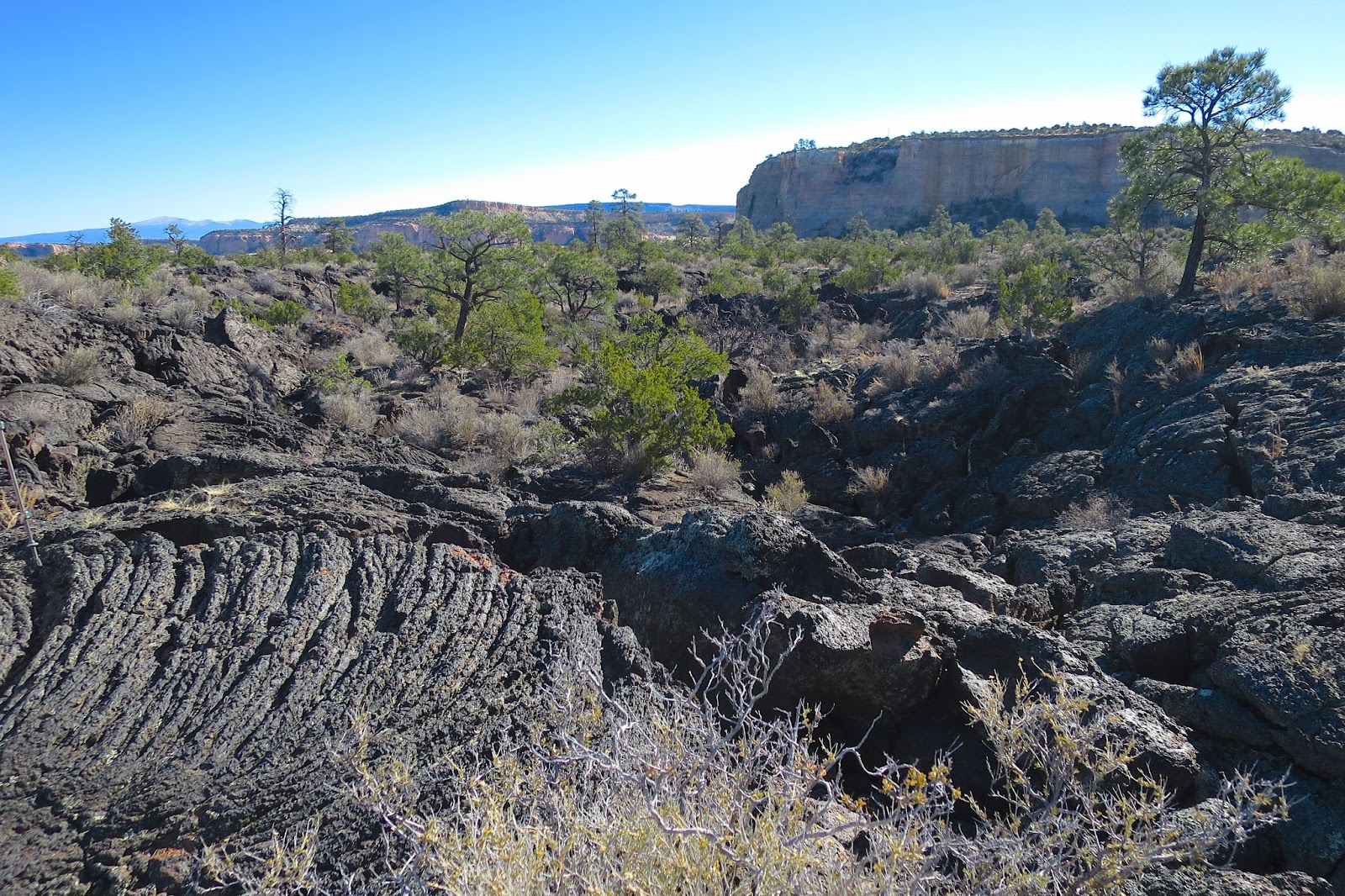 Rambling Hemlock: Zuni-Acoma Trail