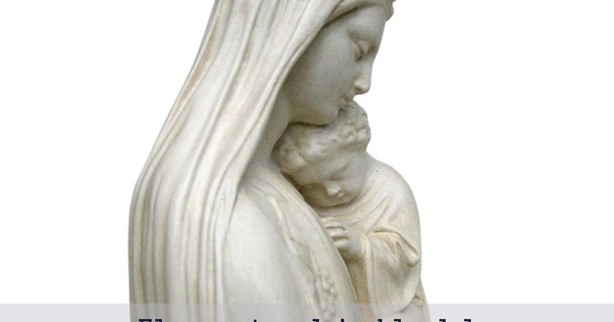 APOSTOLADO DEL SAGRADO CORAZÓN: Rosa Blanca, Rosa Encarnada, Rosal ...