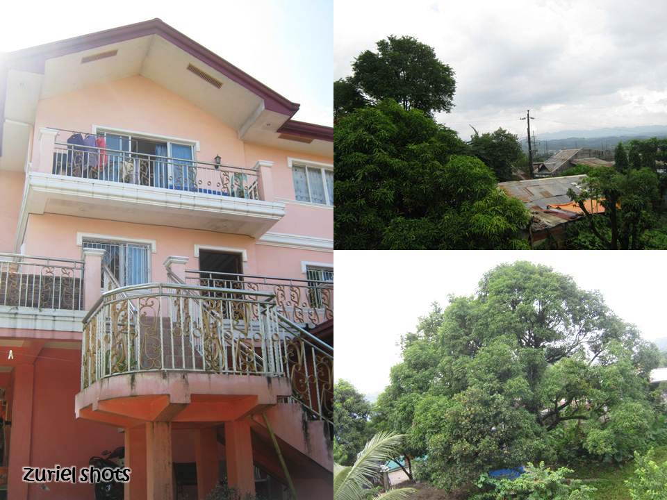 Zuriel Shots: Barangay Dulumbayan