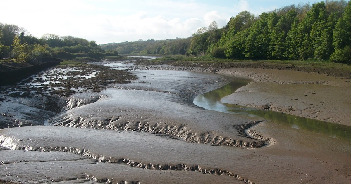 Campaign For The Protection of Pembrokeshire: Mud Mud Glorious Mud