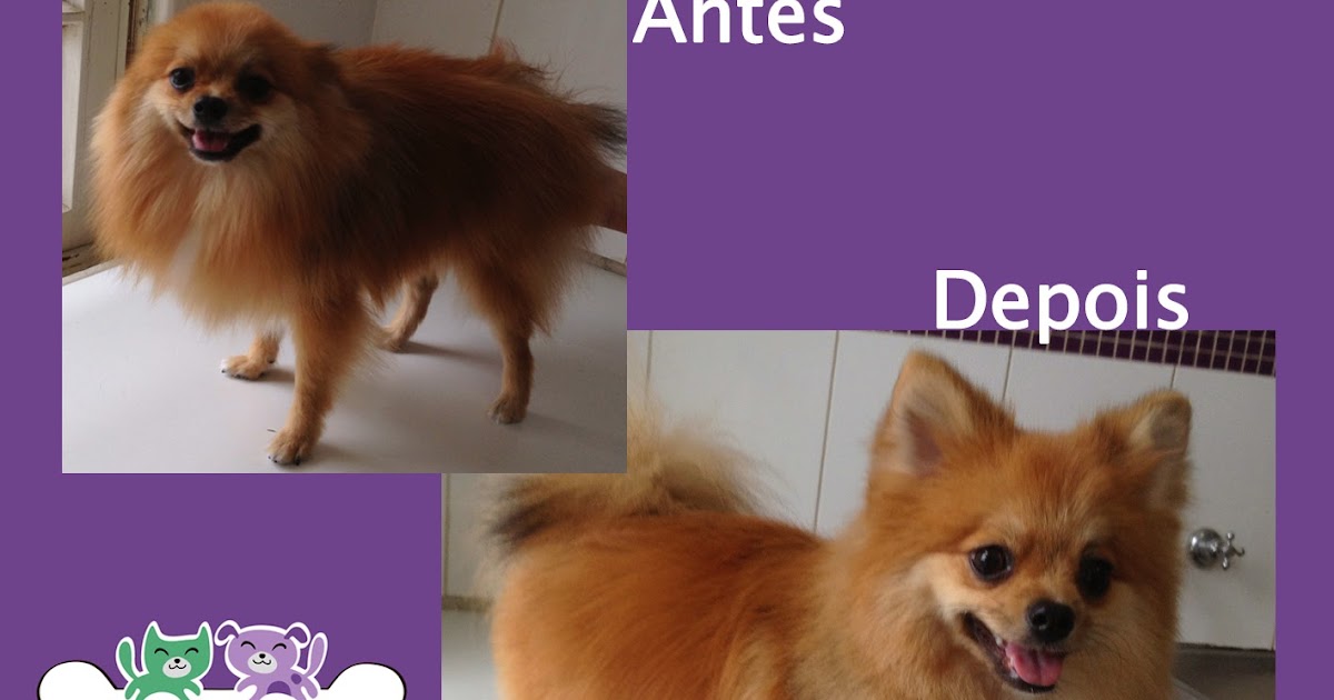 TOSA BEBÊ - TOSA VERÃO - TOSA TESOURA -TOSA PORTO ALEGRE: TOSA TESOURA ...