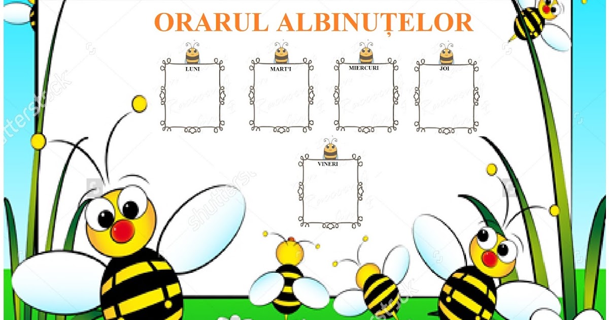 Lumea lui Scolarel...: Orare școlare