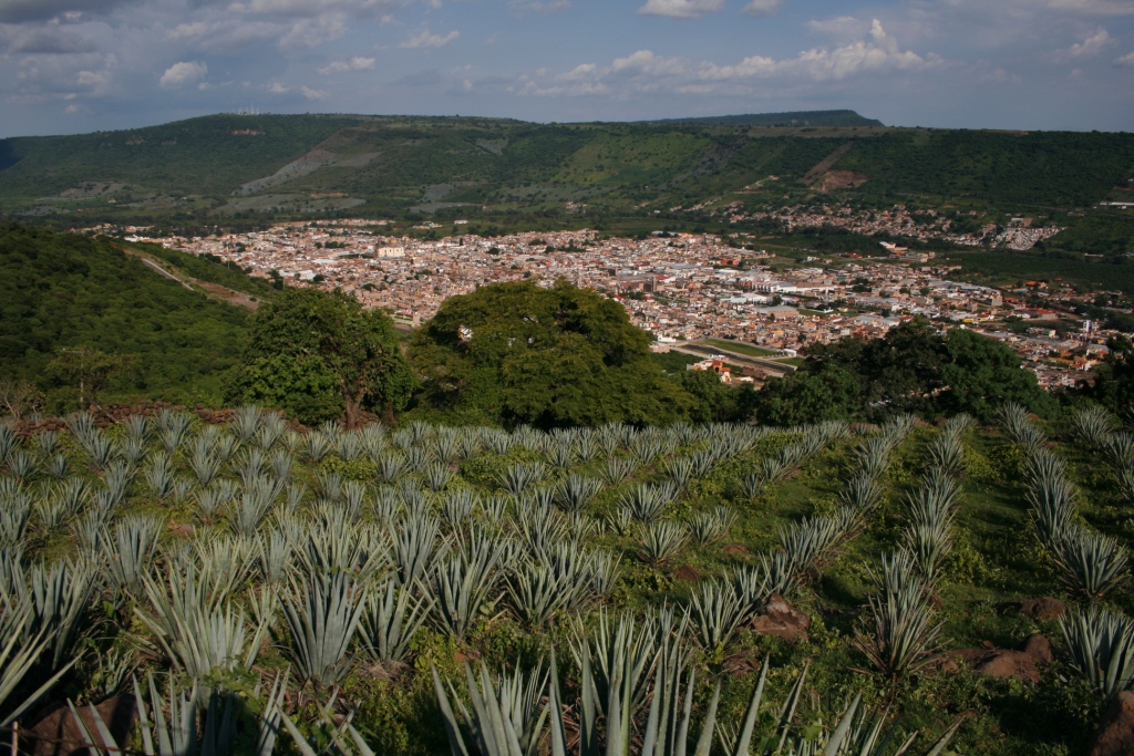 Gaudium Promotora Turistica: Municipio de Atotonilco el Alto