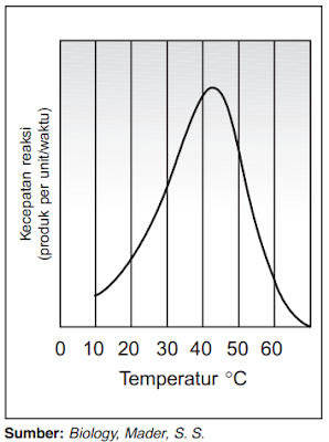Faktor-Faktor yang Mempengaruhi Kerja Enzim ~ masarul.com