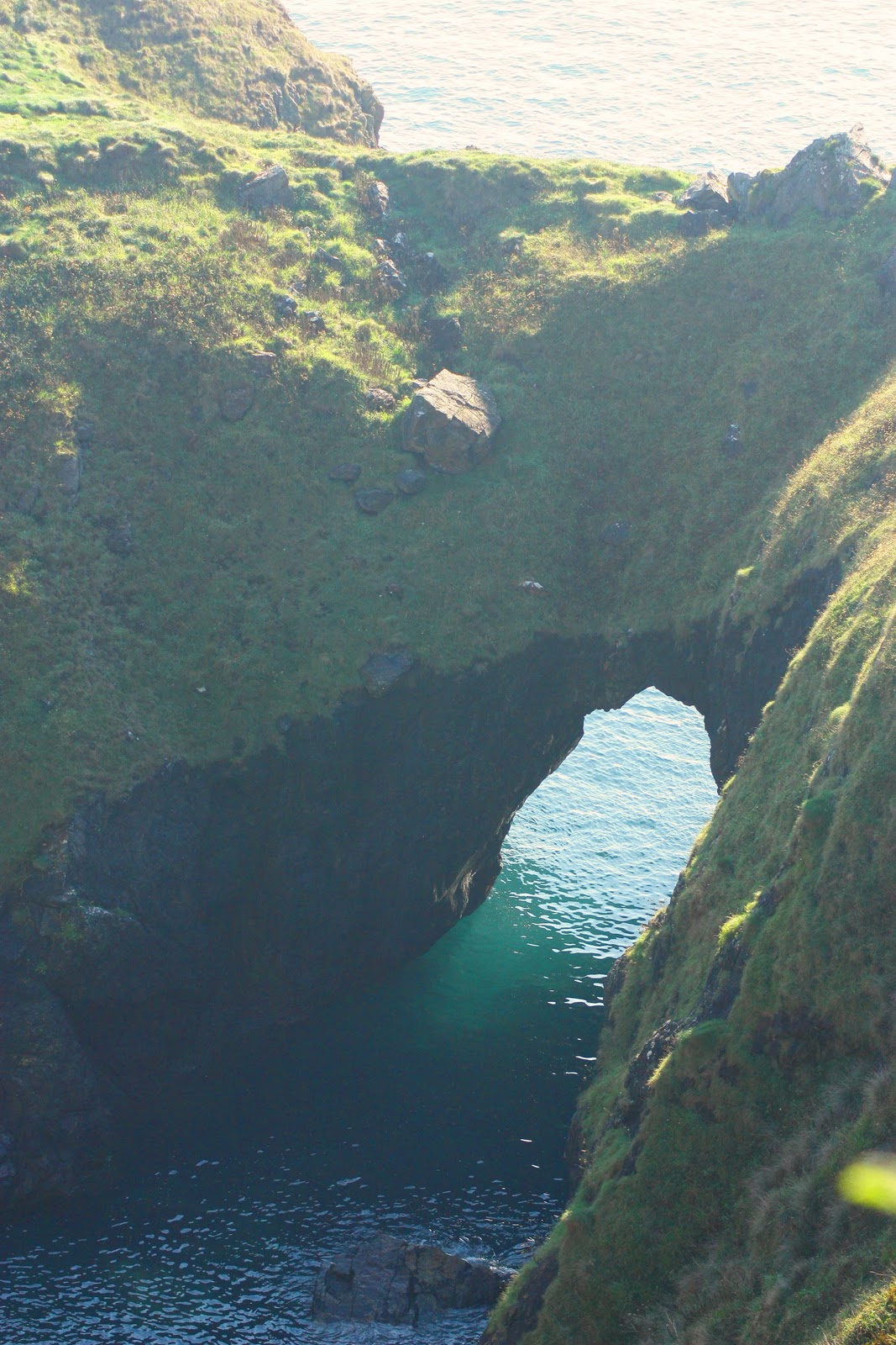 Samuel Birding: Cornish Coastal walk around Lizard Point (2nd October)