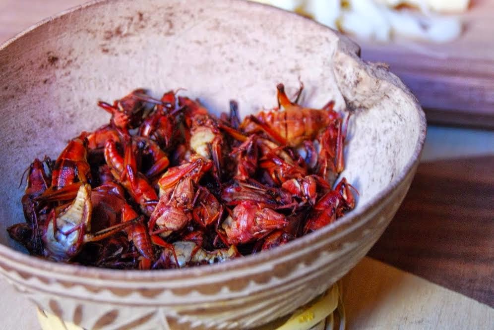 CupCakes and CrabLegs: A Year in San Miguel