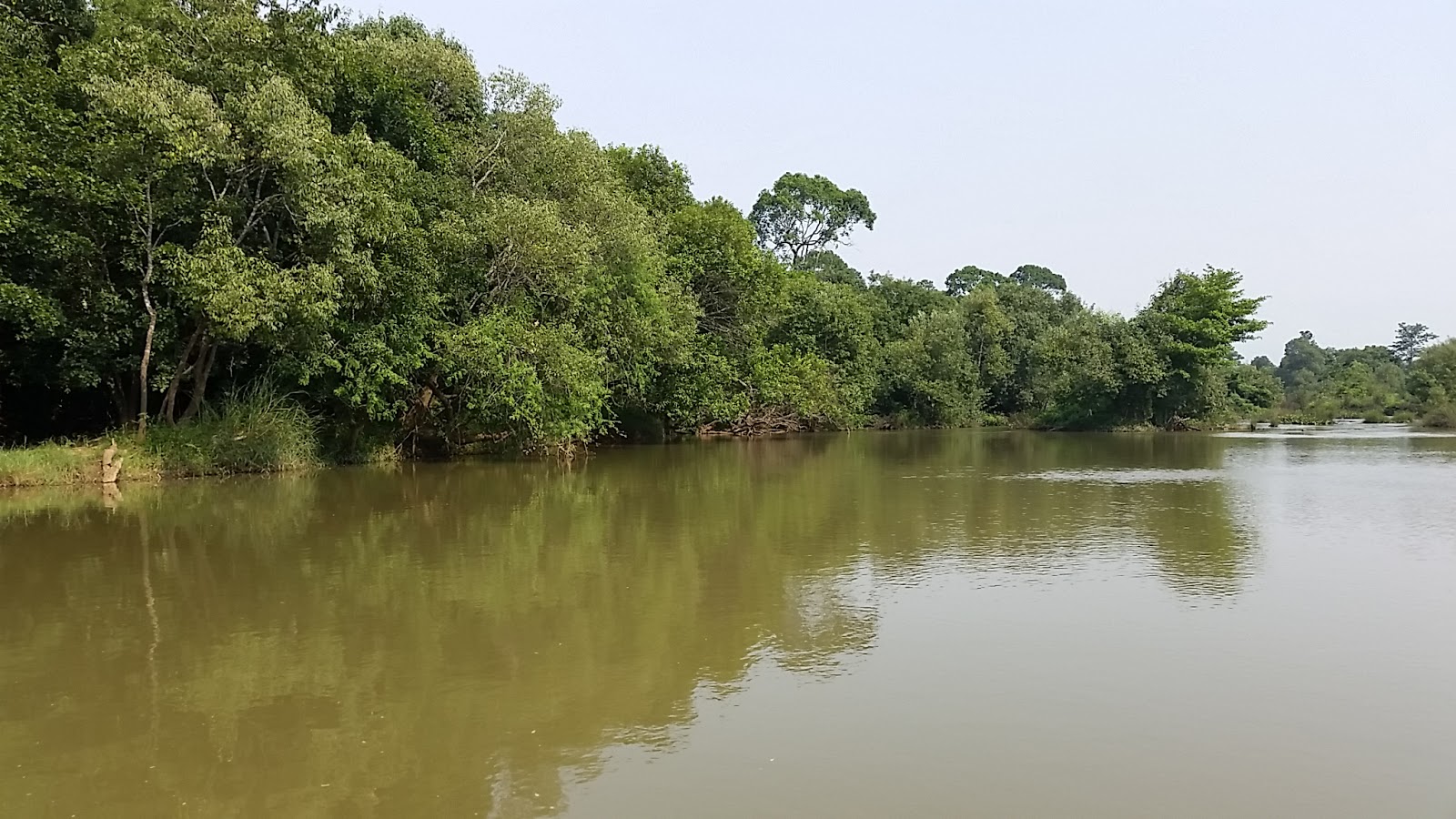 Jeevan's KALLI VALLI : Calicut / Bangalore to hot spots of Mananthavady ...