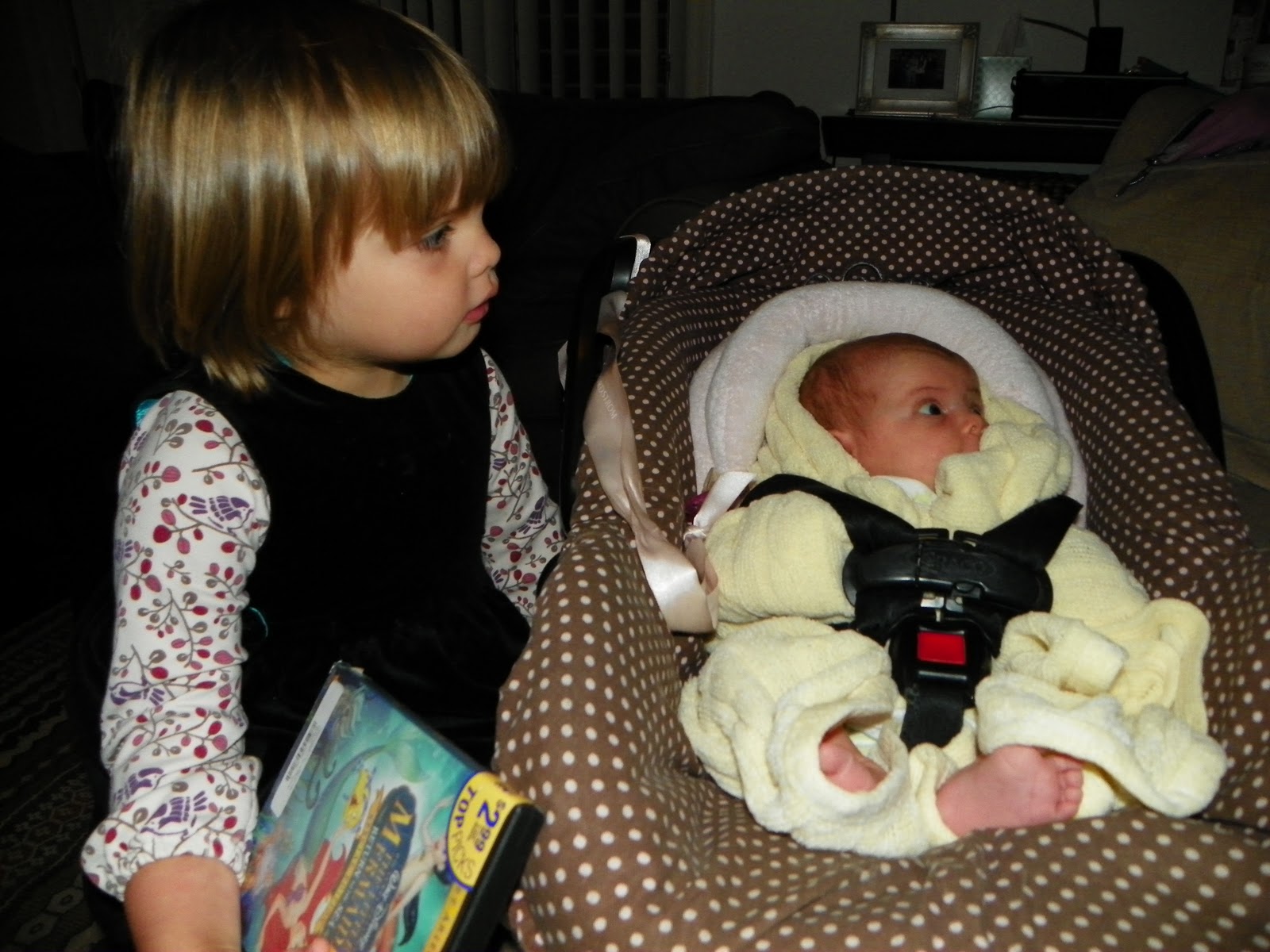 SHEARER SISTERHOOD: February 2011