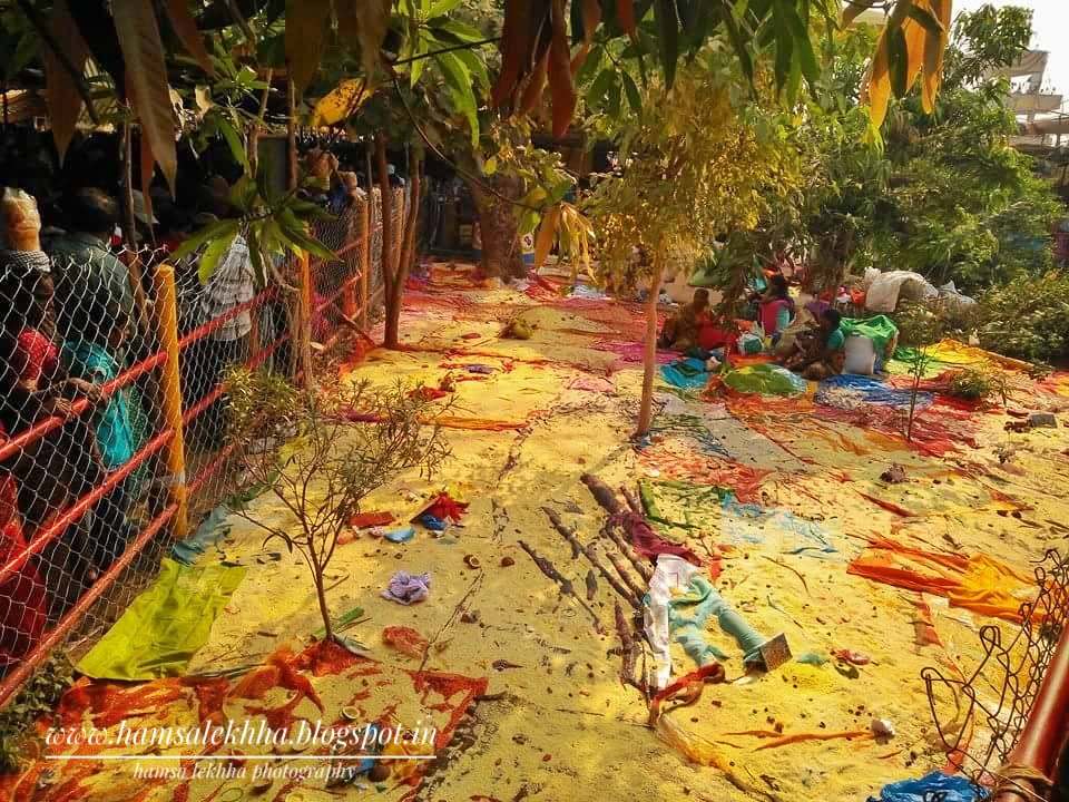 Hamsa Lekhha Travel diaries: MEDARAM---SAMMAKKA SARAKKA JATHARA ...