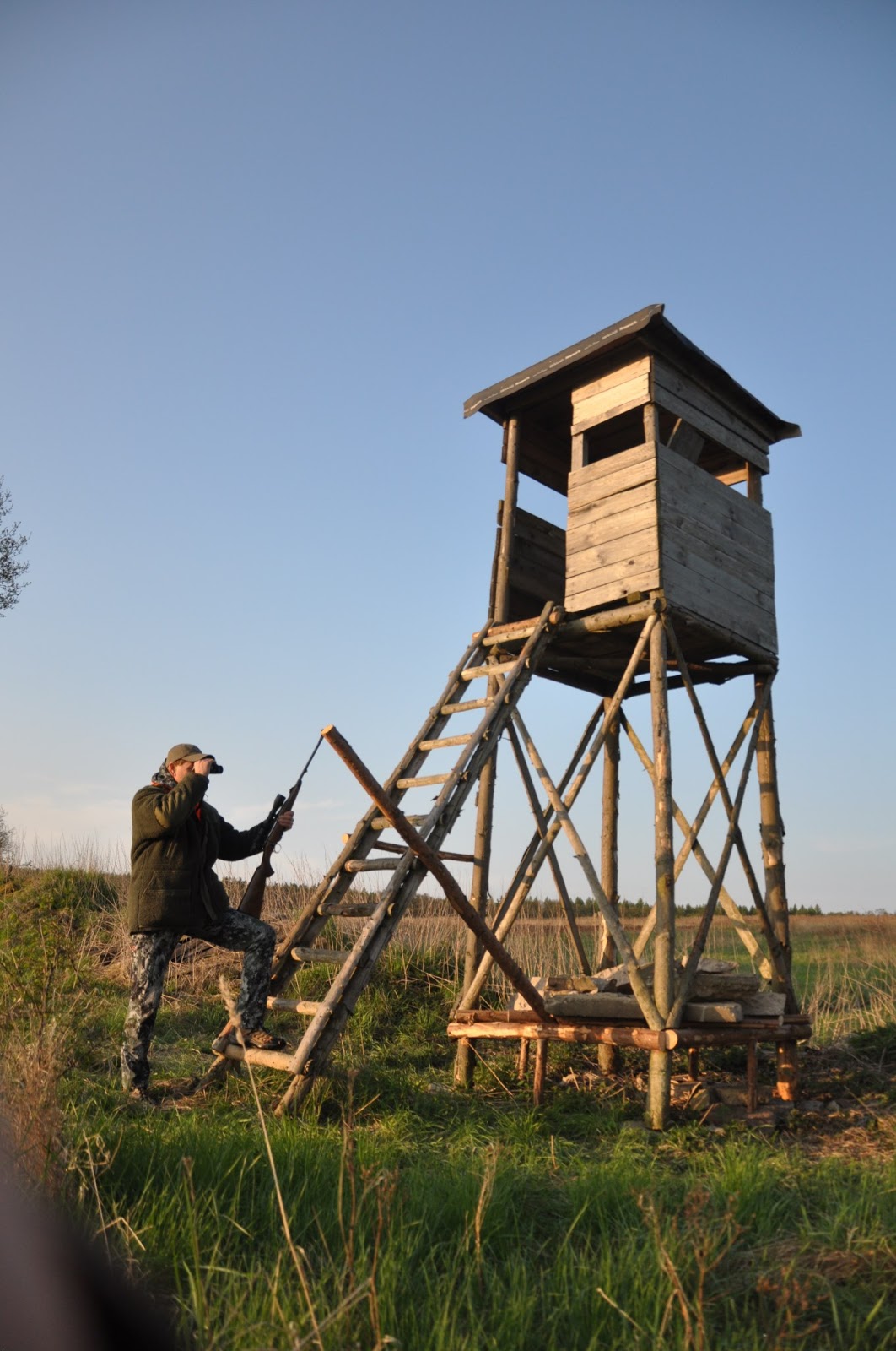 DIIZCHE SAFARI ADVENTURES Blog: Roe Deer Hunting in Germany~An American ...