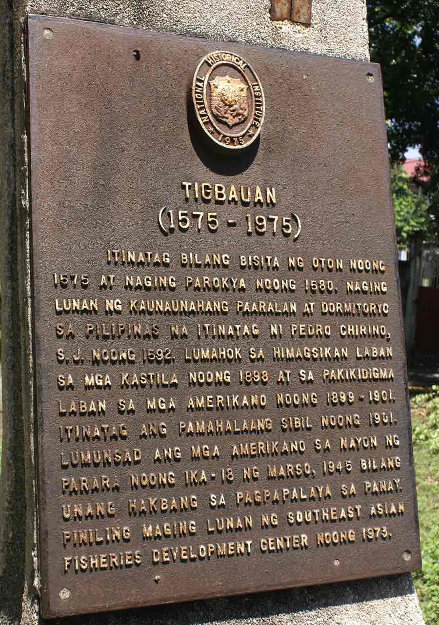 Discover The Beauty of TIGBAUAN