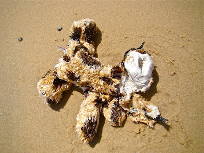 Christen Contario :: Australian Site Specific Sculpture: Washed Up