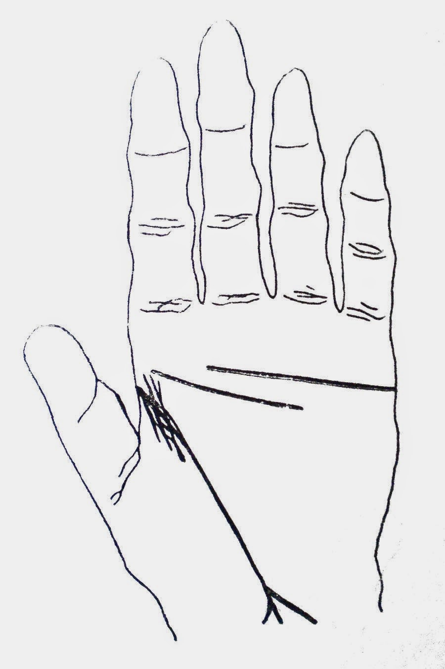Hand Prediction ทำนายลายมือ: เส้นสมองลักษณะต่างๆ(9)