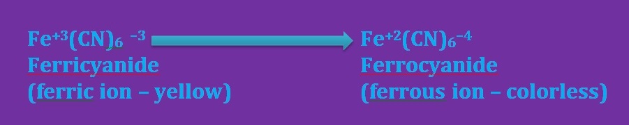 Lecture Notes in Medical Technology: Lecture #7: Carbohydrates