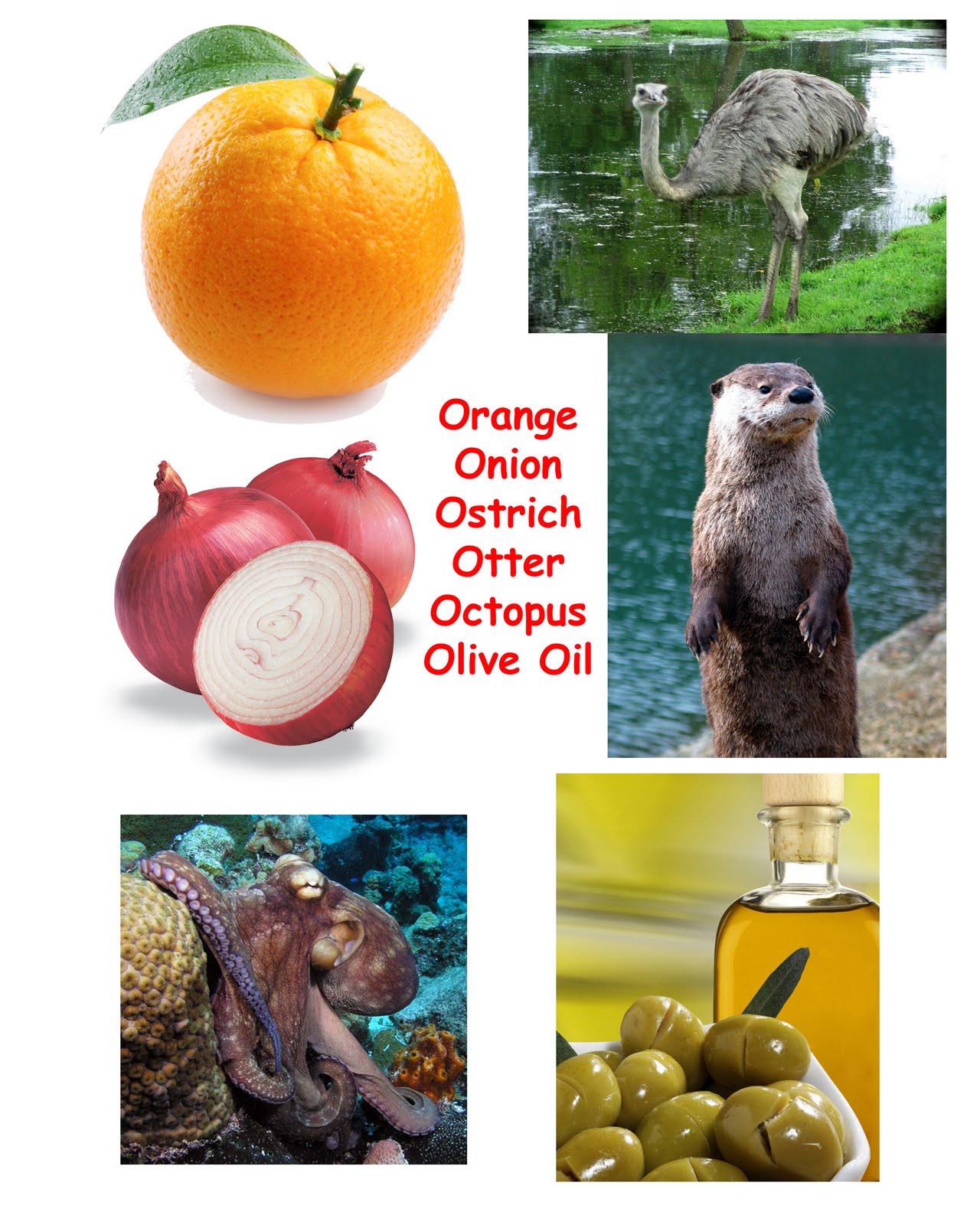 Resource Pictures Of Objects Start With Letters A To Z Learn The Fun Way Resource Pictures Of Objects Start With Letters A To Z Learn The Fun Way