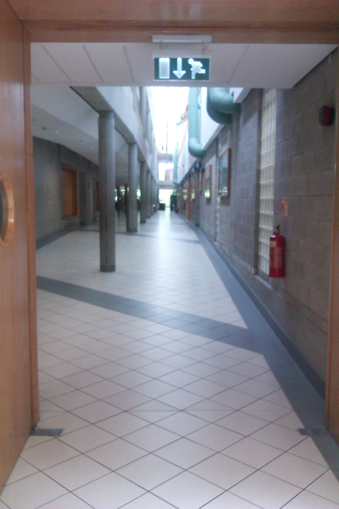 DT Quin: LYIT panel - Higher Diploma in 3D Modelling and Animation