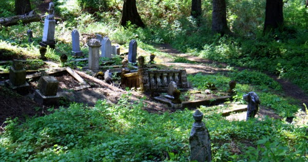 Five Tourism: Explore an Old Russian Cemetery and Soar With Eagles in ...