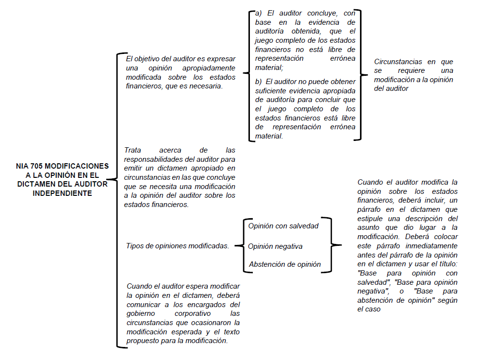 La Auditoría: NIA 705