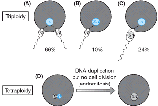 BLOQUE 2: RECONOCES Y APLICAS LOS PRINCIPIOS DE LA HERENCIA